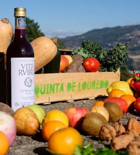 Douro Valley: Traditional Cooking Class, Farm Tour and Lunch - Key Points