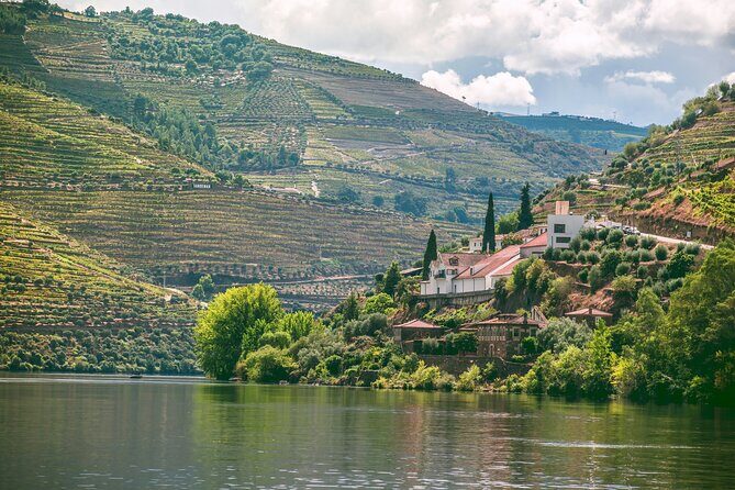 Douro Valley Vineyard Visits Wine Tasting Boat Ride and Lunch - Exploring the Douro Valley: An In-Depth Review