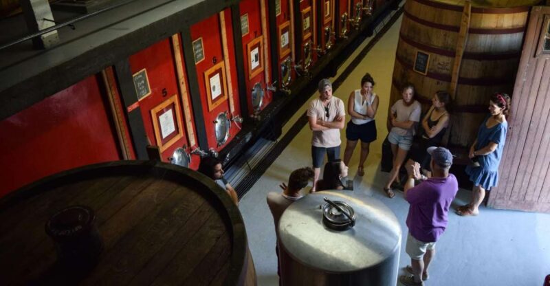 Douro Valley: Winery Tour at Quinta do Tedo and Tastings - An Authentic Glimpse into Douro Winemaking