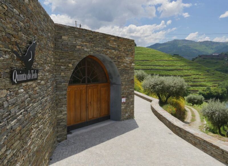Douro Valley: Winery Tour at Quinta do Tedo and Tastings - What’s Included and Practical Details