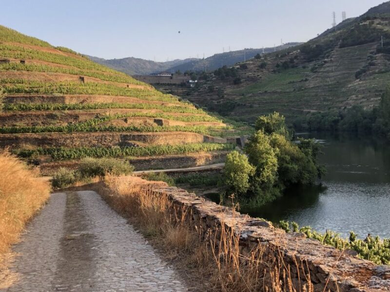 Douro Valley: Winery Tour at Quinta do Tedo and Tastings - Who Will Love This Tour?
