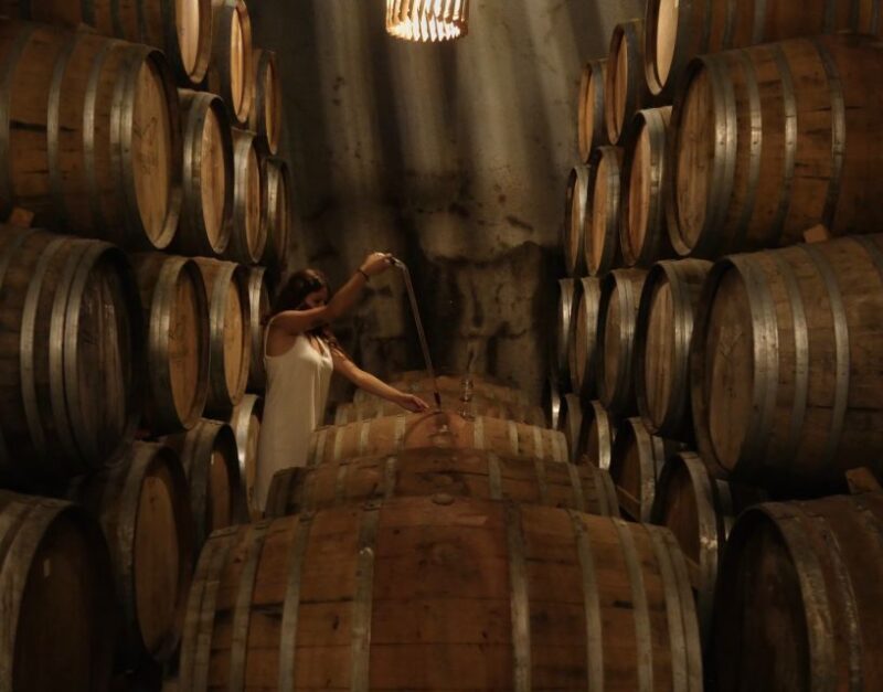 Douro Valley: Winery Tour at Quinta do Tedo and Tastings - Final Thoughts