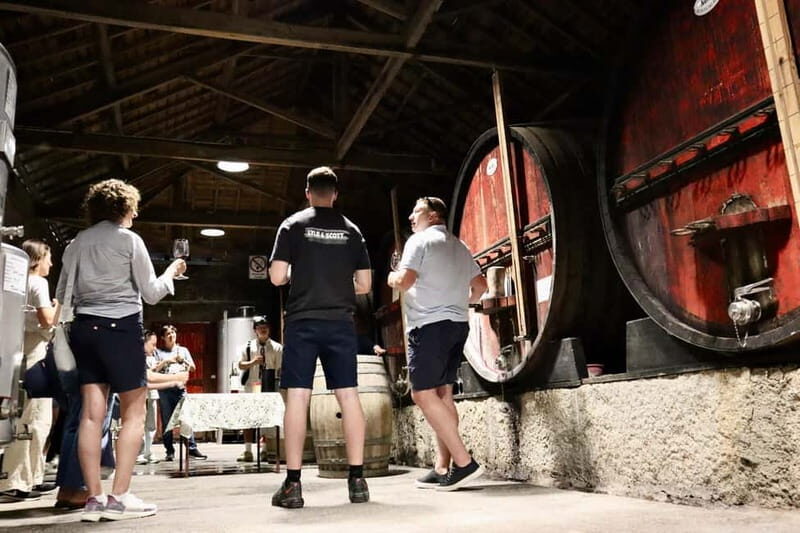 Douro Valley: Winery, Traditional Lunch & Private Boat Trip - Authenticity and Guides: What Reviewers Say