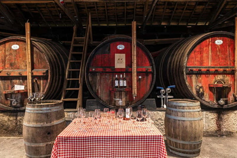 Douro Valley: Winery, Traditional Lunch & Private Boat Trip - Final Thoughts: Who Is This Tour Perfect For?