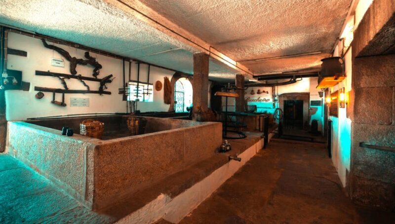 Douro Valley: Winery, Traditional Lunch & Private Boat Trip - FAQs