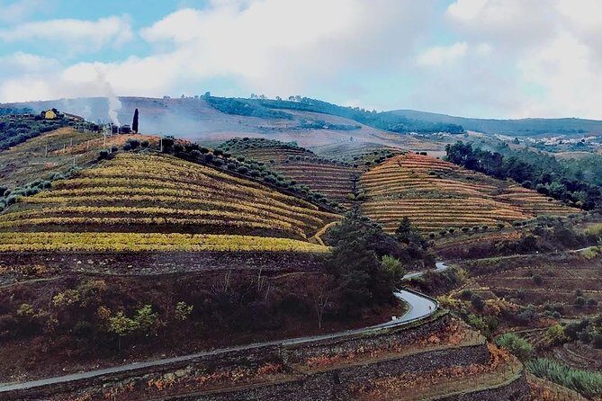 Douro Valley with Two Winery, Boat Trip and Lunch From Porto - Key Points