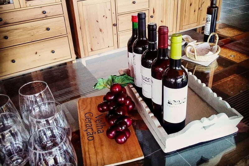 Douro Valley with Two Winery, Boat Trip and Lunch From Porto - Key Points