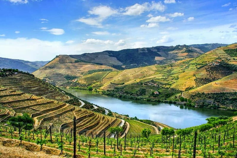 Douro Valley with Two Winery, Boat Trip and Lunch From Porto - An In-Depth Look at the Douro Valley Experience