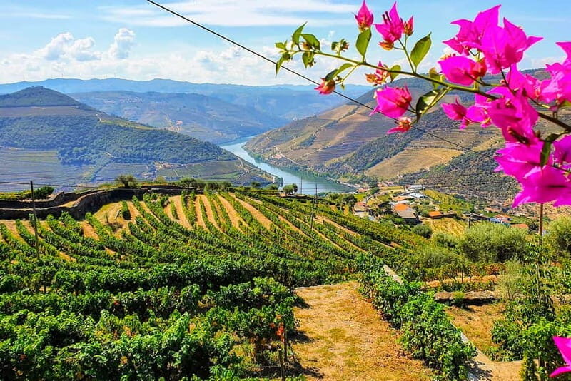 Douro Valley with Two Winery, Boat Trip and Lunch From Porto - FAQ