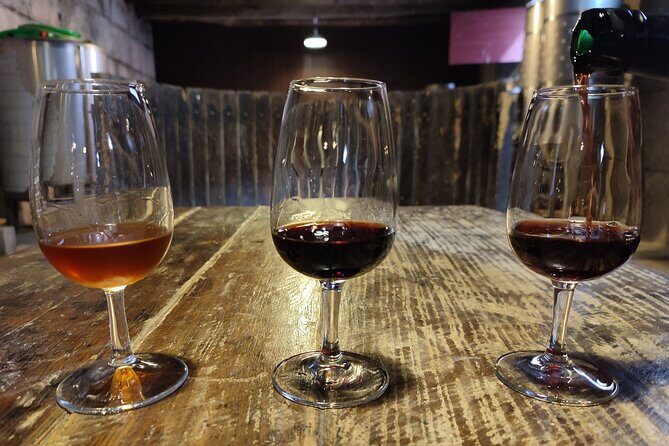 Douro & Vinho Verde: Family Wineries Private Tour in Portugal - Who Should Consider This Tour?