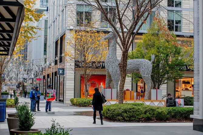 Downtown DC Holiday Tour: Lights, Decorations & Festive Cheer - The Sum Up