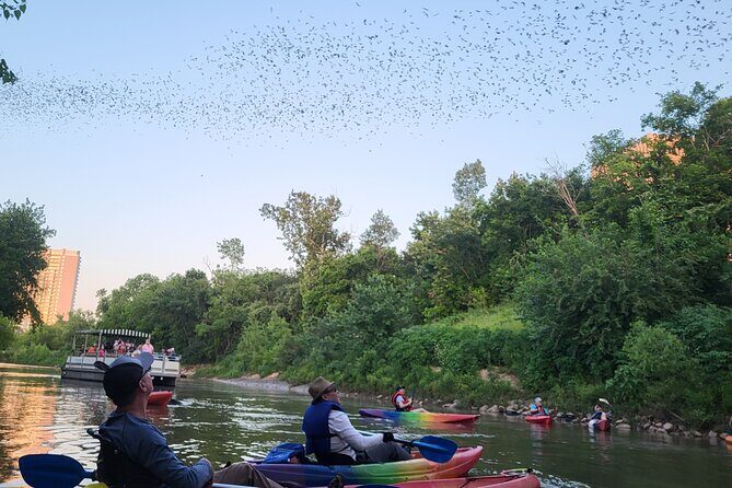 Downtown Houston Bat and Skyline Kayaking Tour - The Itinerary Breakdown: What Can You Expect?