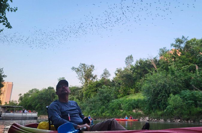 Downtown Houston Bat and Skyline Kayaking Tour - The Sum Up: Is It Worth It?