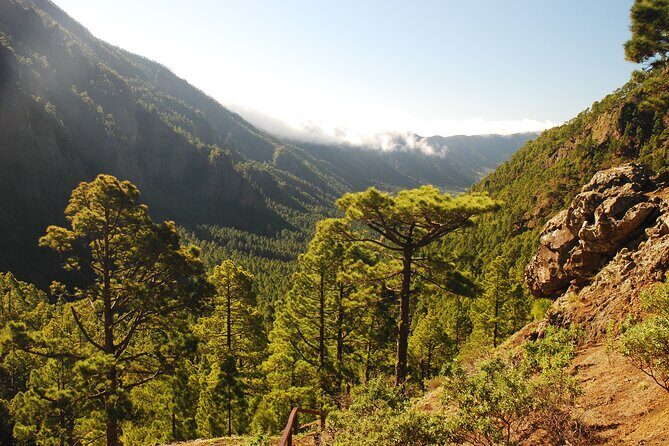 Downtown Route (Price per Vehicle not per person) - Key Points