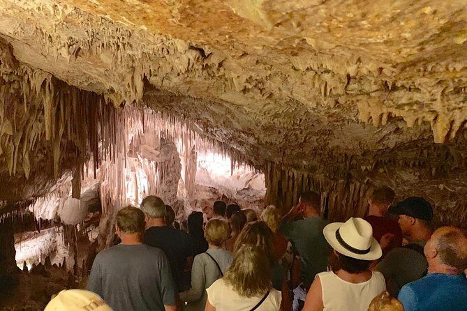Drach Caves and Pearl Shop Mallorca Half Day Tour - An In-Depth Look at the Mallorca Drach Caves and Pearl Shop Tour