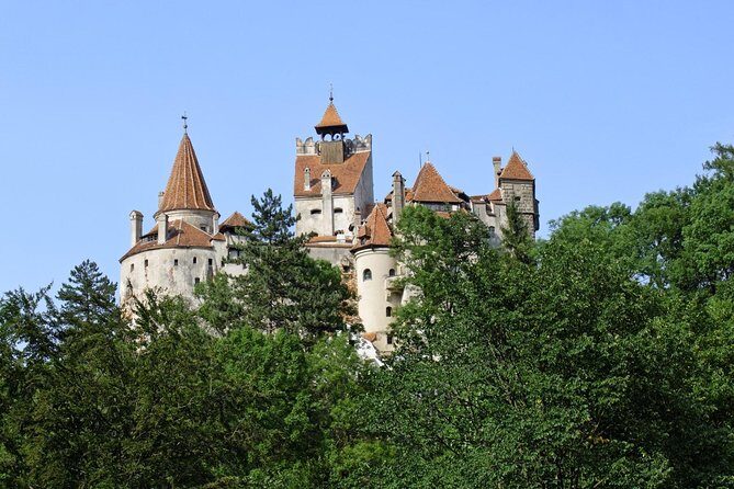 Dracula Castle, Peles Castle and Rasnov Fortress from Brasov - Authentic Experiences Shared in Reviews
