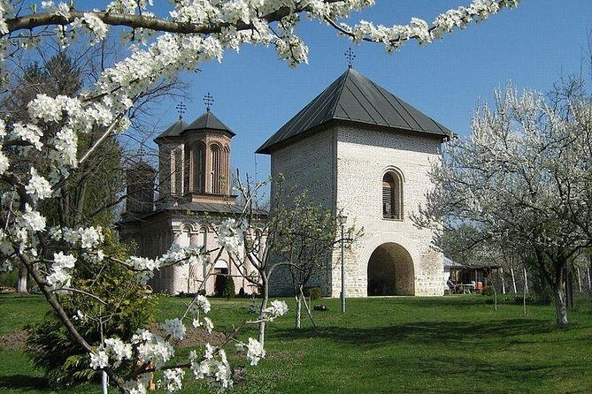 Dracula's Tomb and Mogosoaia Palace, Private Tour from Bucharest - The Sum Up