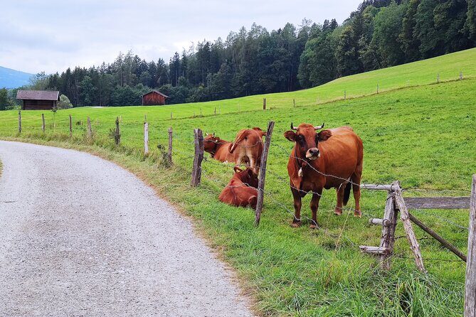 Dragon Slayer Way Beer Hike Food Experience Private Tour (departs Munich) - The Itinerary in Detail
