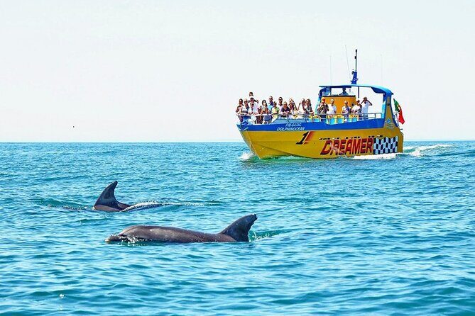 Dreamer Cave and Dolphins Boat Tour Ticket Albufeira - Key Points