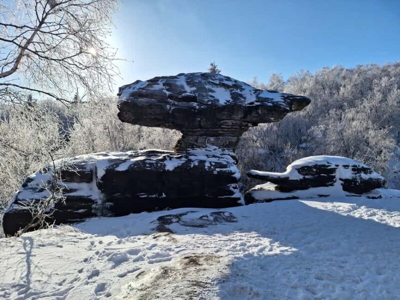 Dresden: Bohemian and Saxon Switzerland Small Group Tour - Final Thoughts