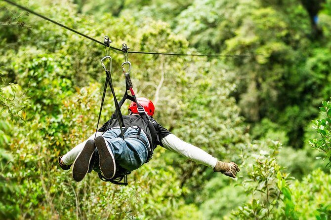 Drive An Atv, Live The Experience Of Ziplining And Swim On A Real Cenote - The Practical Side: Timing, Price, and Expectations