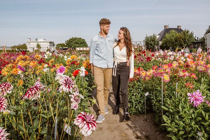 Drive it yourself electric Dune & Summer Flower GPS audio tour - Practical Tips for Travelers