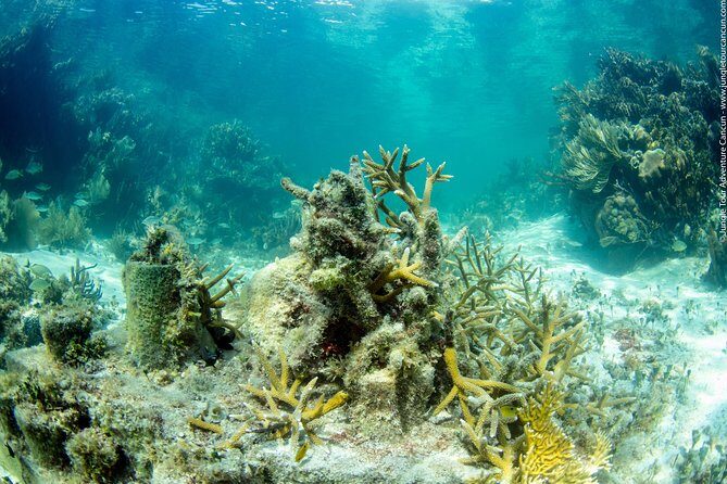 Drive the best speedboat in Cancun and feel the adrenaline. - Who is this tour best suited for?