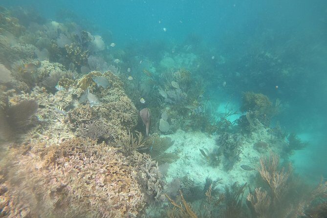 Drive the best speedboat in Cancun and feel the adrenaline. - The Sum Up