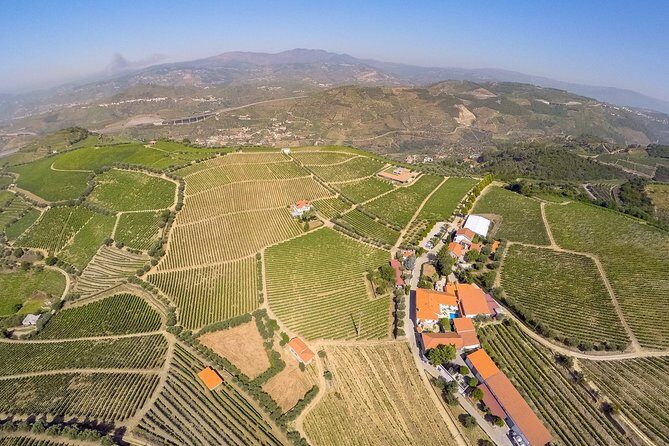Driver with Private Vehicle in the Douro Valley - Authentic Experiences & Authenticity