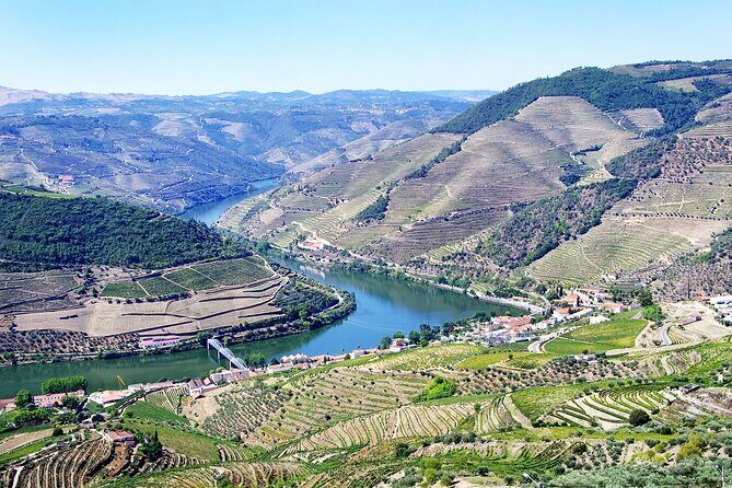 Driver with Private Vehicle in the Douro Valley - The Sum Up