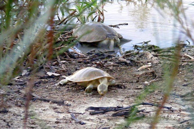 Drover's Sunset Cruise includes Smithy's Outback Dinner and Show - Evening Entertainment and Atmosphere  