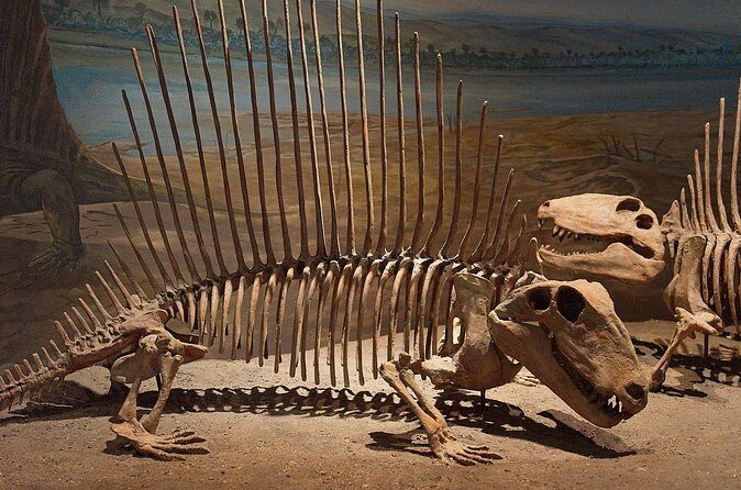 Drumheller and Badlands Full-Day Tour with a Small Group - Who Should Consider This Tour?