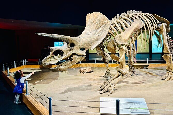 Drumheller and the Badlands Private Sightseeing Tour - An In-Depth Look at the Drumheller and the Badlands Tour