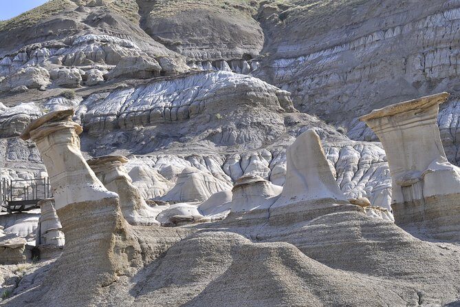 Drumheller Dinosaur Valley & Horseshoe Canyon Adventure Day Tour - Transportation & Group Size