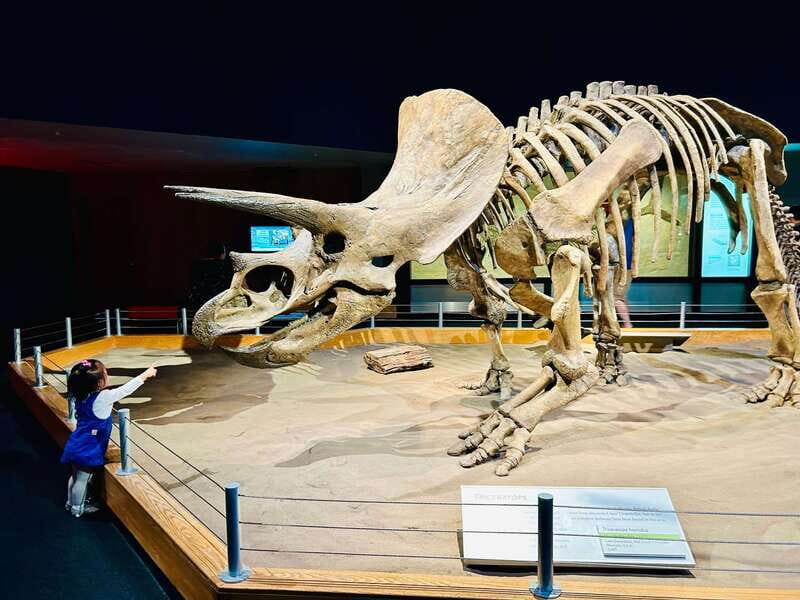 Drumheller Full-day Private Sightseeing Tour - Who Will Love This Tour?