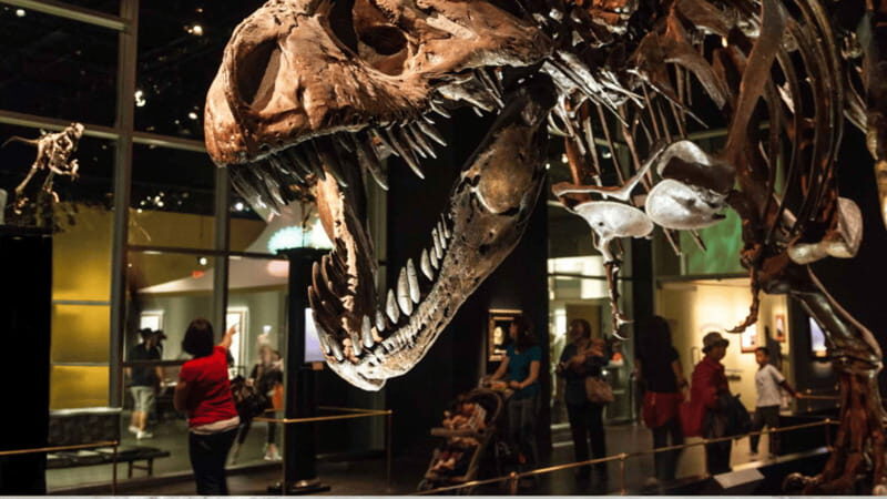 Drumheller Full Day: Tyrrell Museum & Canyon Adventure - Who Should Book This Tour?