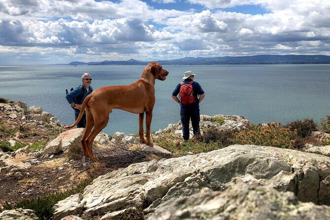 Dublin Coastal Hike with Howth Adventures - Who Should Consider This Tour?