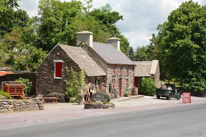 Dublin Half Day Tour with a Local: 100% Personalized & Private - The Sum Up