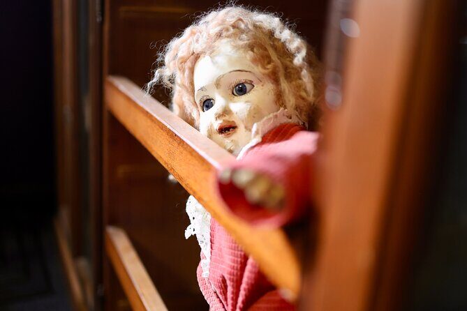 Dublin Museum of Curiosities - Key Points