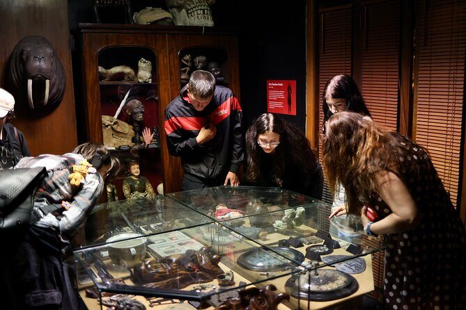 Dublin Museum of Curiosities - What to Expect from the Dublin Museum of Curiosities