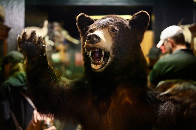 Dublin Museum of Curiosities - FAQ