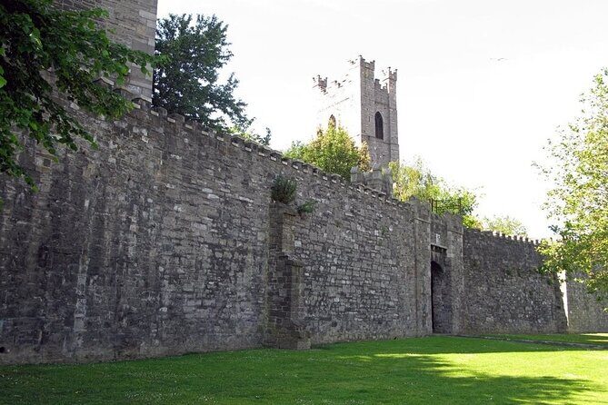 Dublin Private Medieval Walking Tour - Practical Tips for Booking and Enjoying Your Tour