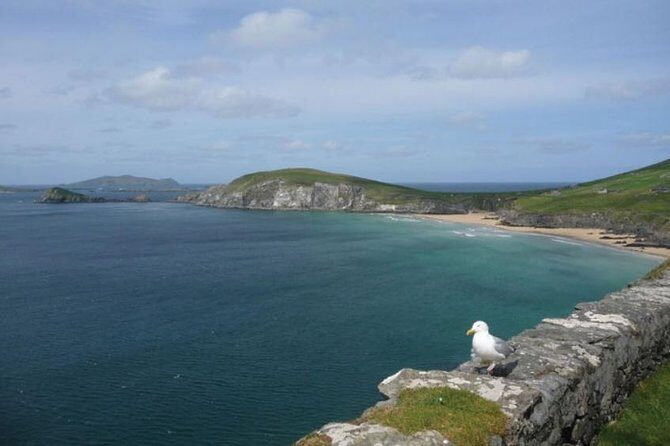 Dublin to South West 5 Day Small-Group Tour with Accommodation - In Closing