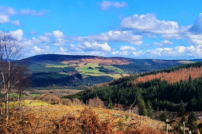 Dublin & Wicklow Mountain Pub Tour small group tour max 15 people - FAQ