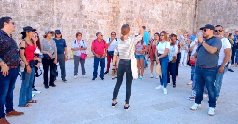 Dubrovnik: 1.5-Hour Guided Old Town Walking Tour - An Overview of the Tour Experience