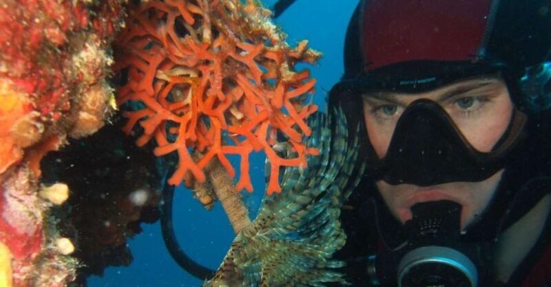 Dubrovnik: 1-Day Diving Package - The Experience from a Diver’s Perspective