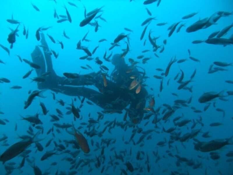 Dubrovnik: 1-Day Diving Package - Who Should Consider This Tour?