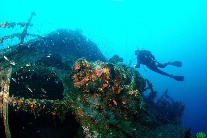 Dubrovnik 1 Dive for Certified Divers - The Sum Up