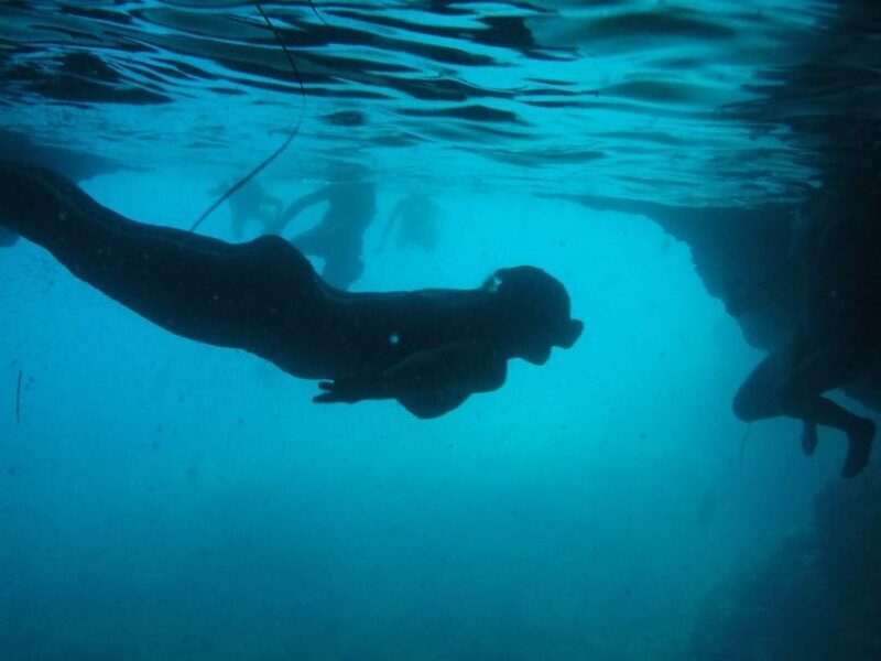 Dubrovnik: Blue Cave & Sunj Beach Boat Tour with Drinks - Key Points