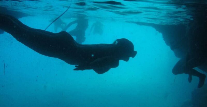 Dubrovnik: Blue Cave & Sunj Beach Boat Tour with Drinks - A Complete Look at the Dubrovnik Blue Cave & Sunj Beach Tour